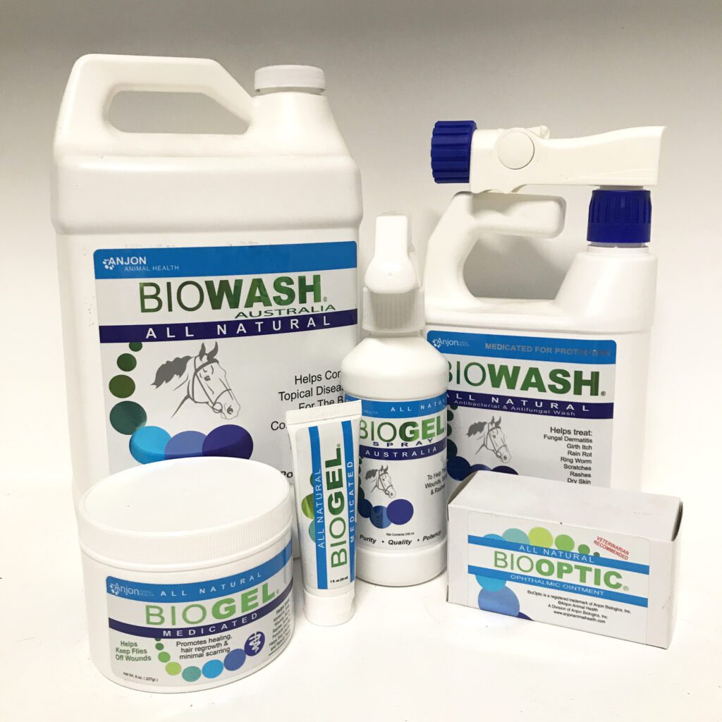 Equine Blogs: Scone Equine Hospital