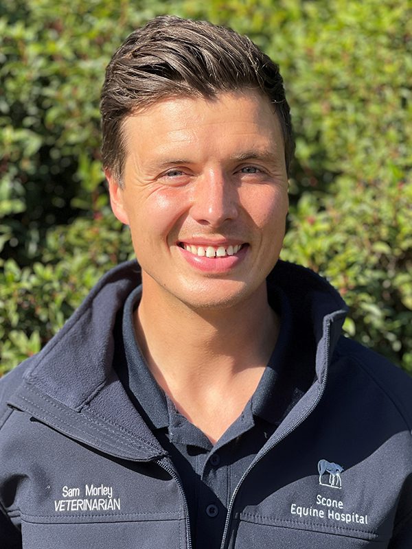 Team Archive - Scone Equine