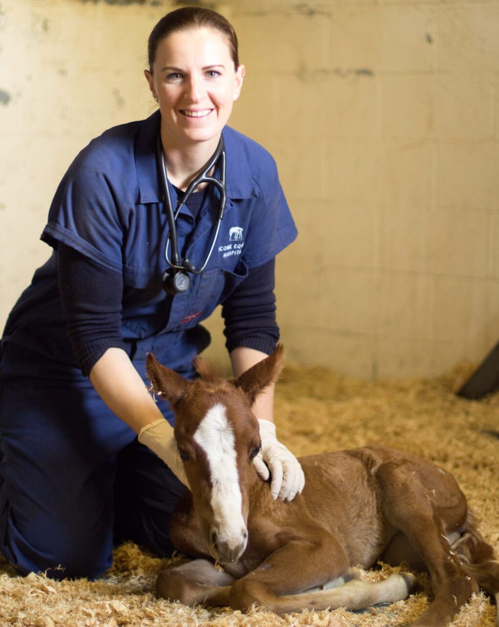 Jane Axon Scholarship: Scone Equine Hospital