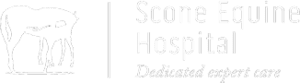 What Is A Caslicks Procedure?: Scone Equine Hospital