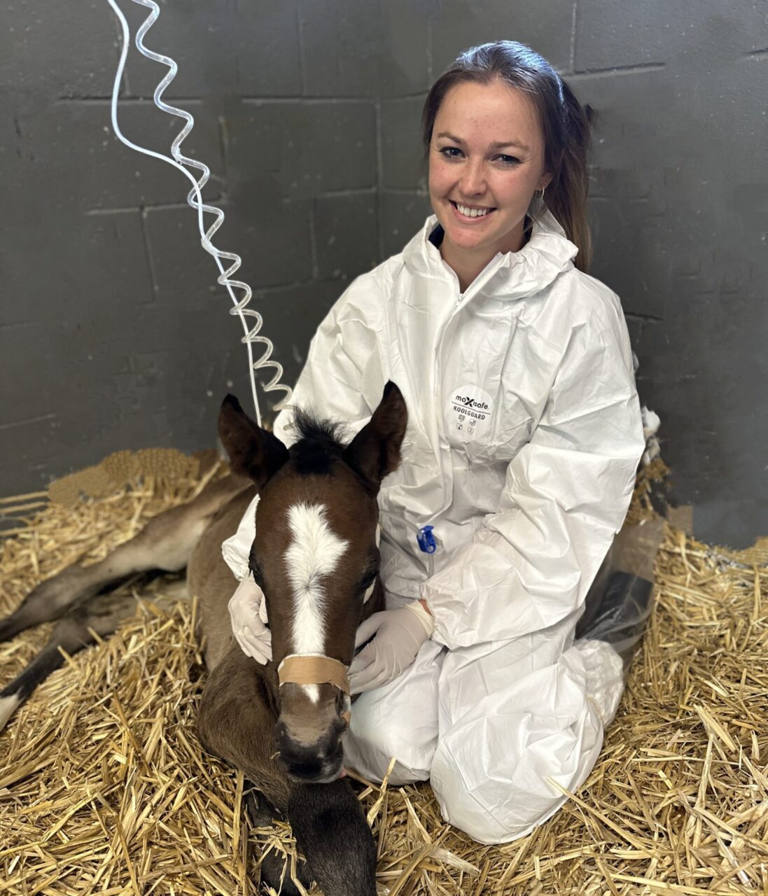 Jane Axon Scholarship: Scone Equine Hospital