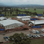 Equine Blogs: Scone Equine Hospital