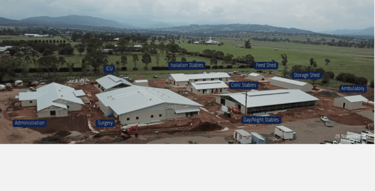 Equine Veterinary Services NSW: Scone Equine Hospital