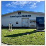 Equine Veterinary Services NSW: Scone Equine Hospital