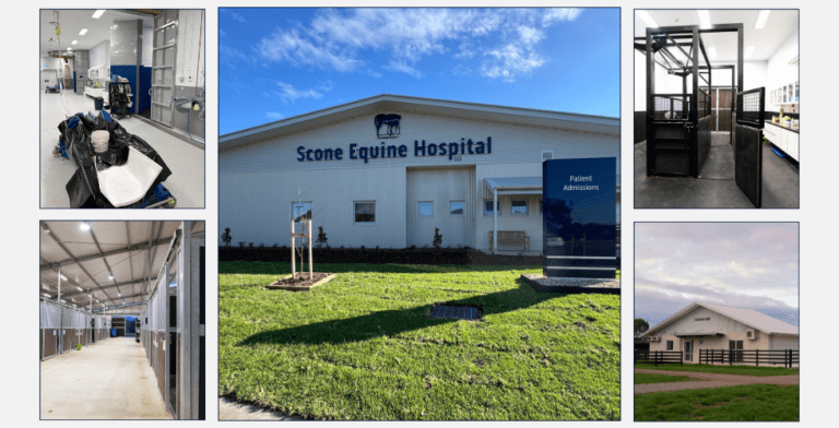 July View from the Ground - Scone Equine