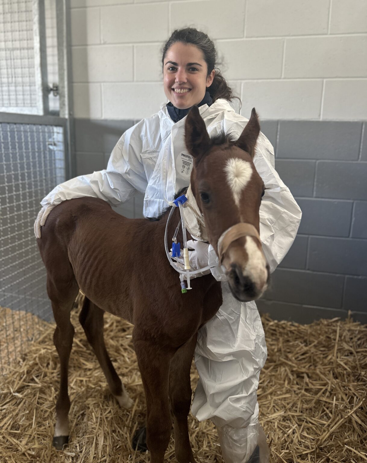 Jane Axon Scholarship: Scone Equine Hospital
