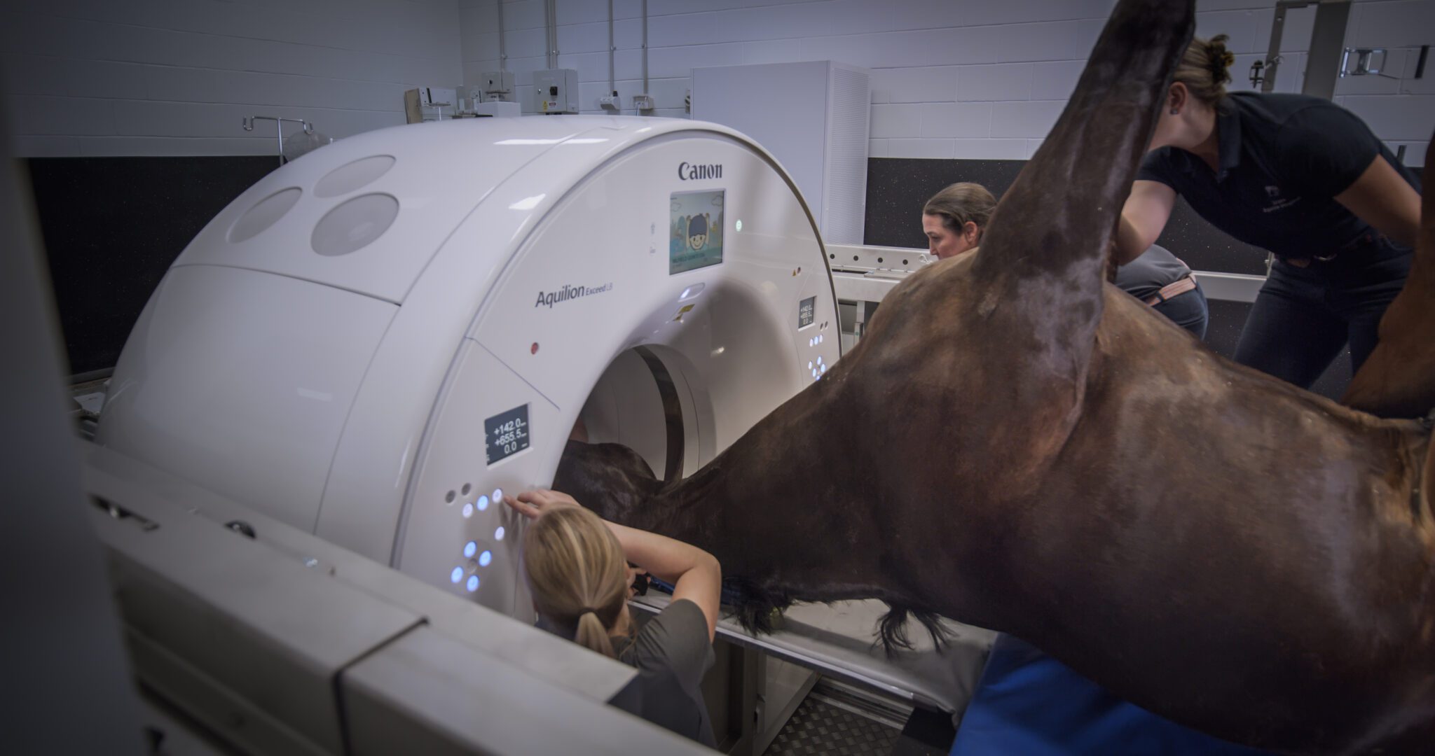 Equine Veterinary Services NSW: Scone Equine Hospital